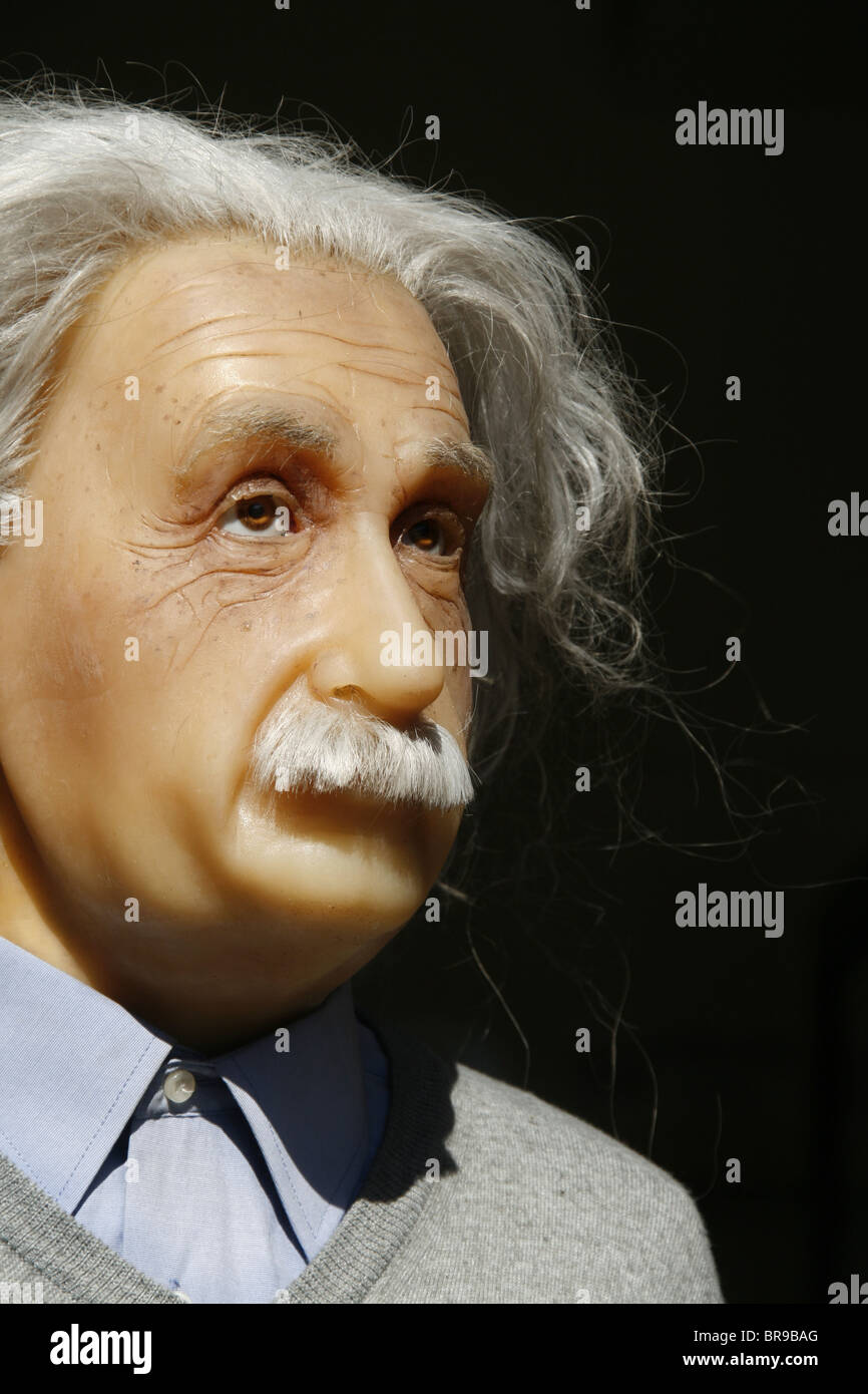 albert einstein waxwork statue model in wax museum, rome Stock Photo ...