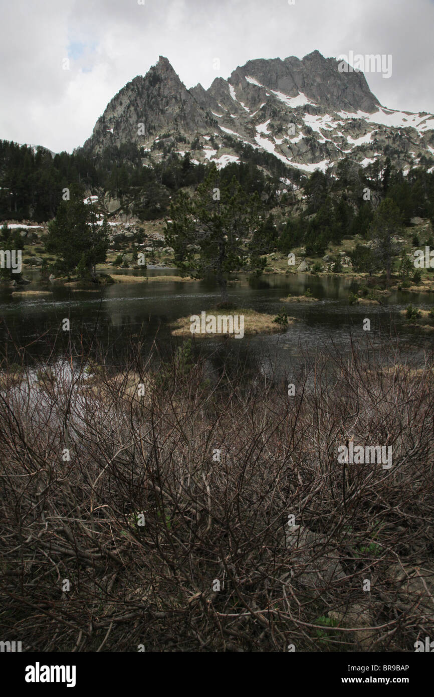 High Alpine forest and mountain cirque on Pyrenean Traverse track in ...