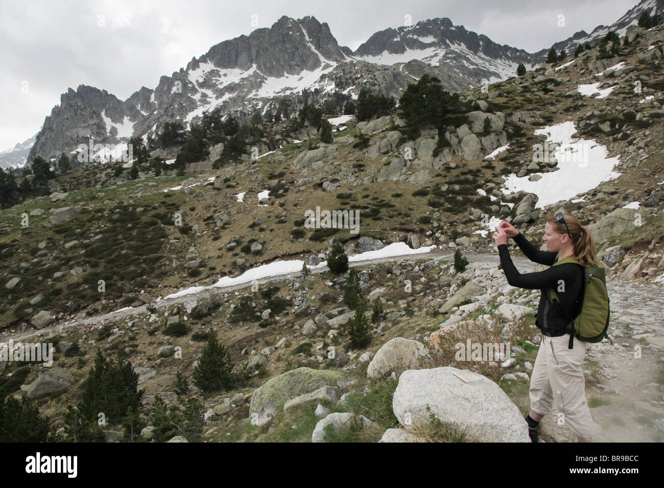 High Alpine forest and mountain cirque on Pyrenean Traverse track near ...