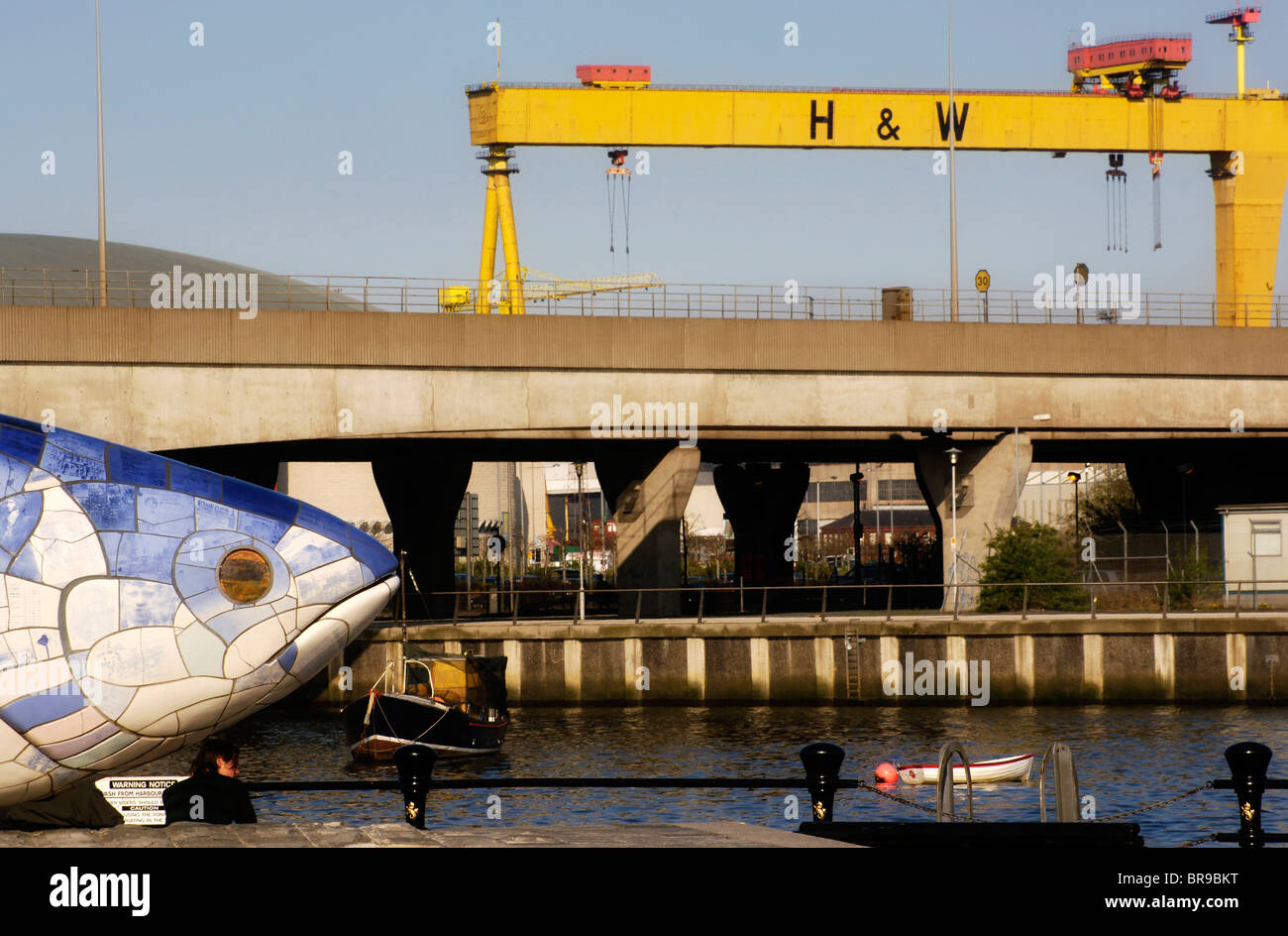 Lagan Weir, "The Big Fish", Samson And Goliath Cranes On The River ...