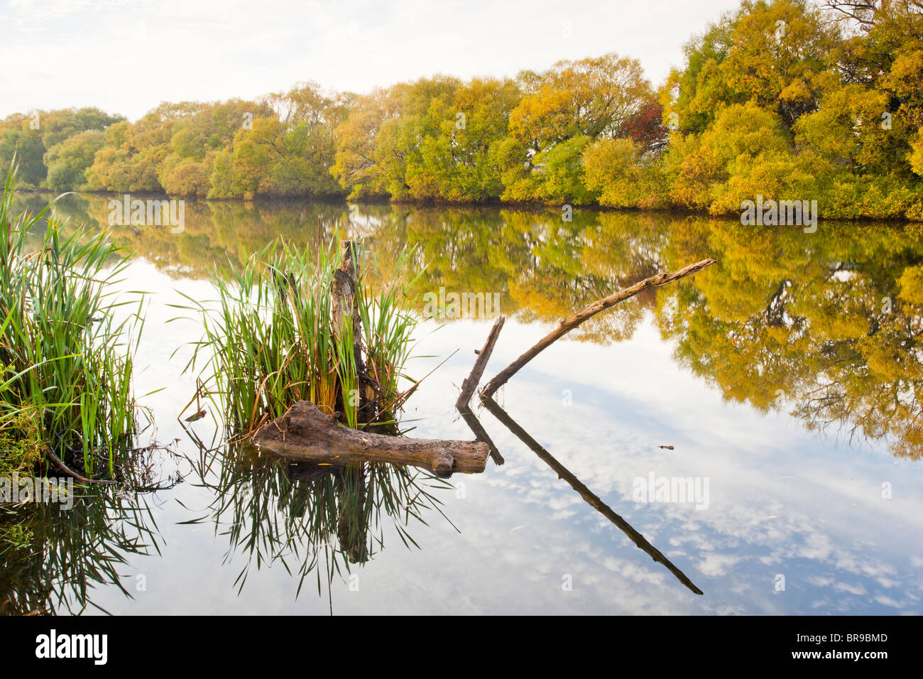 Early Morning Reflections on the Mersey River, Latrobe, Tasmania Stock ...