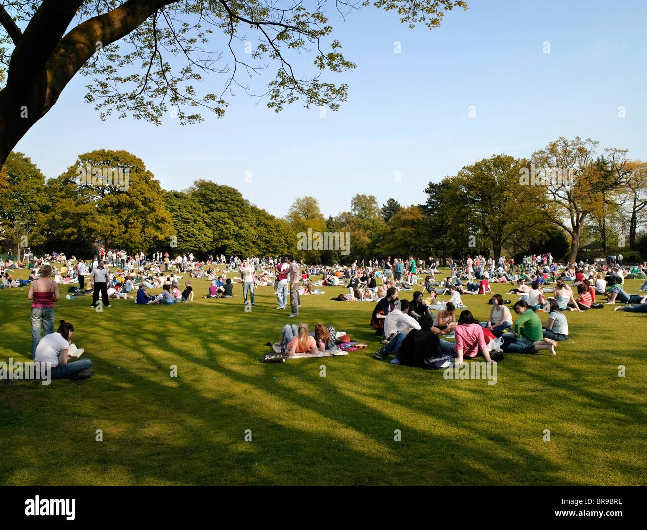 Large crowd people sitting shade hi-res stock photography and images ...