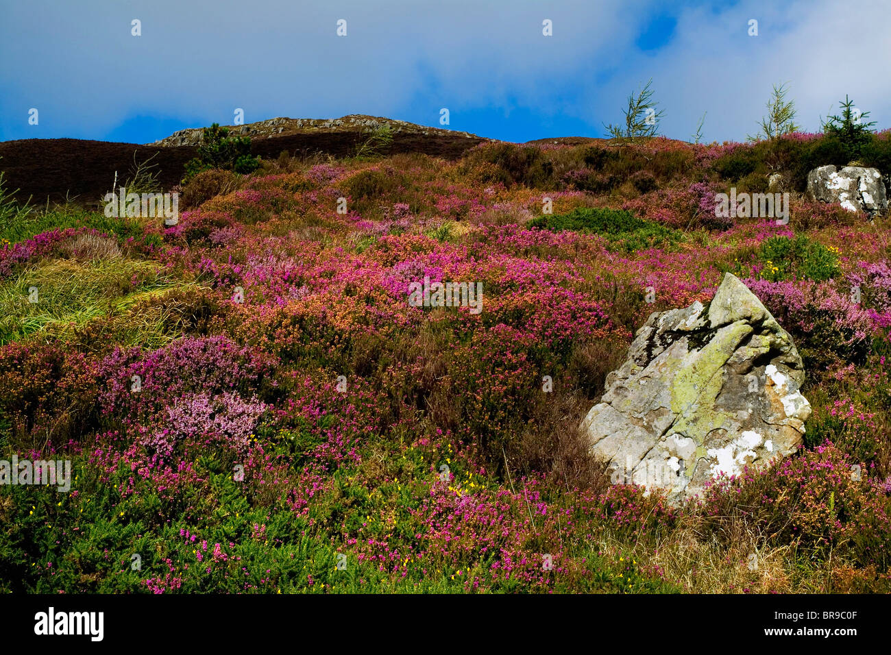 Ring of gullion hi-res stock photography and images - Alamy