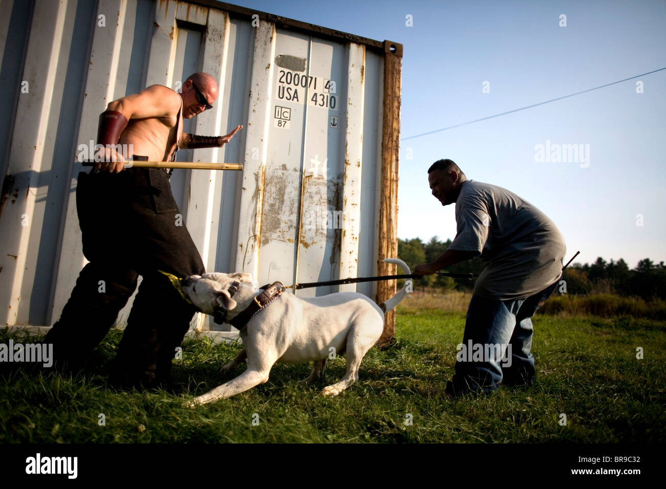 Man Trains Dog High Resolution Stock Photography and Images - Alamy
