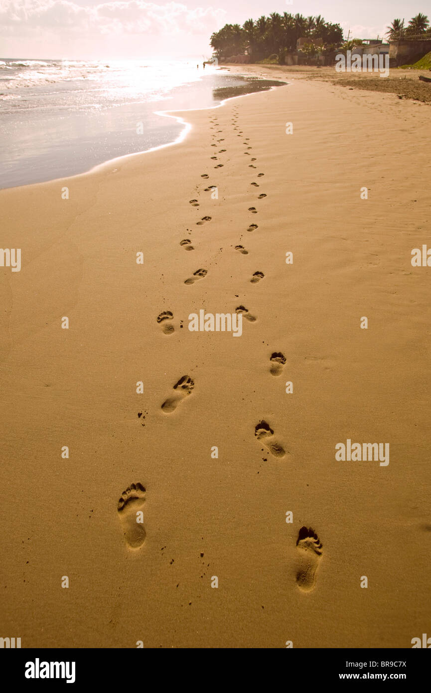 Two trails of footprints lead down a tropical beach Stock Photo - Alamy
