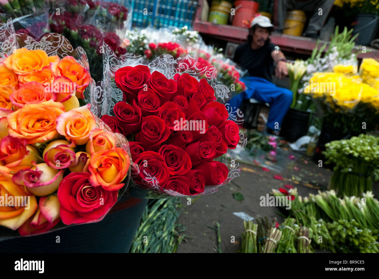 A man sells bunches of roses in the flower market of Bogota, Colombia ...