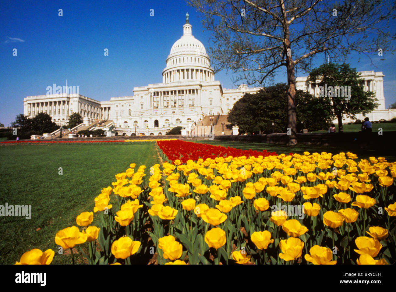 1980s CAPITOL WASHINGTON DC Stock Photo - Alamy