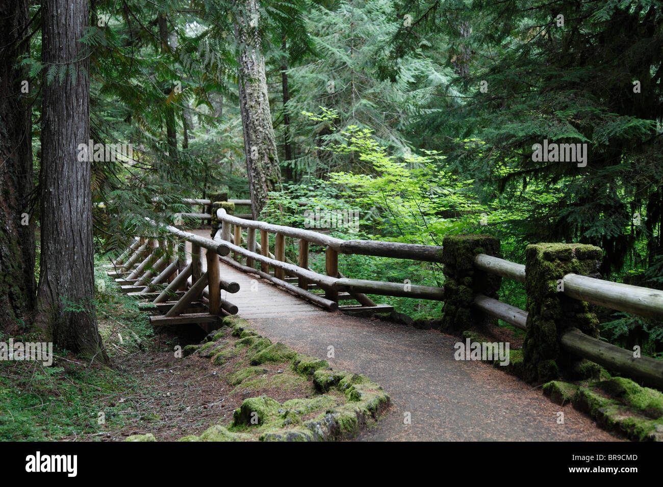 A foot bridge and forest path in Oregon (USA Stock Photo - Alamy