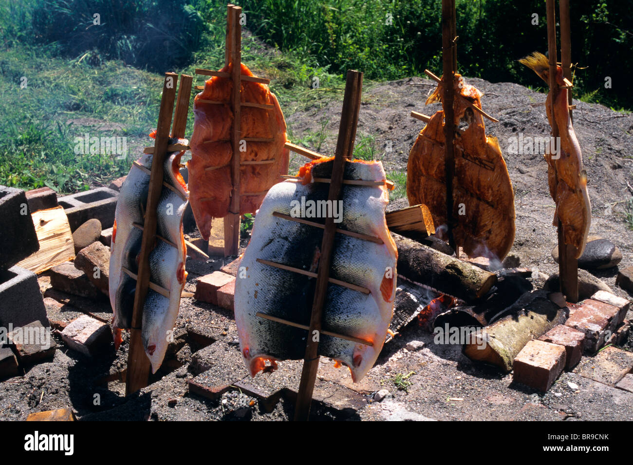 1990s NATIVE AMERICAN METHOD OF SMOKING SALMON Stock Photo - Alamy