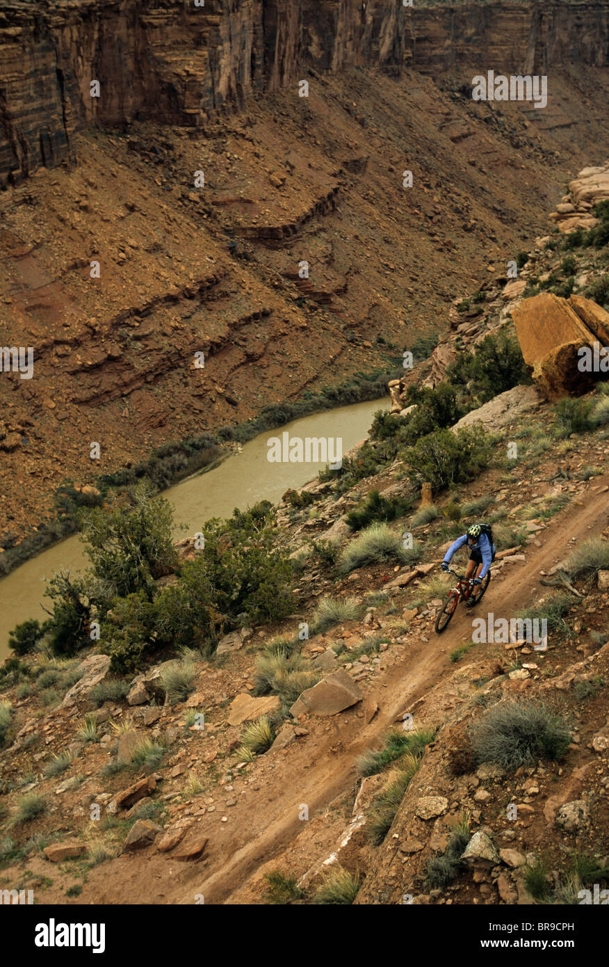 Mountain biker biking down a trail in the desert near river Moab Utah ...