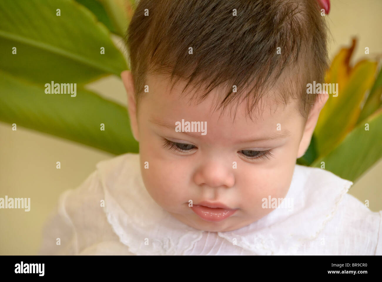 Merida, Yucatan/Mexico-July 8: Close up potrait of baby boy during his ...