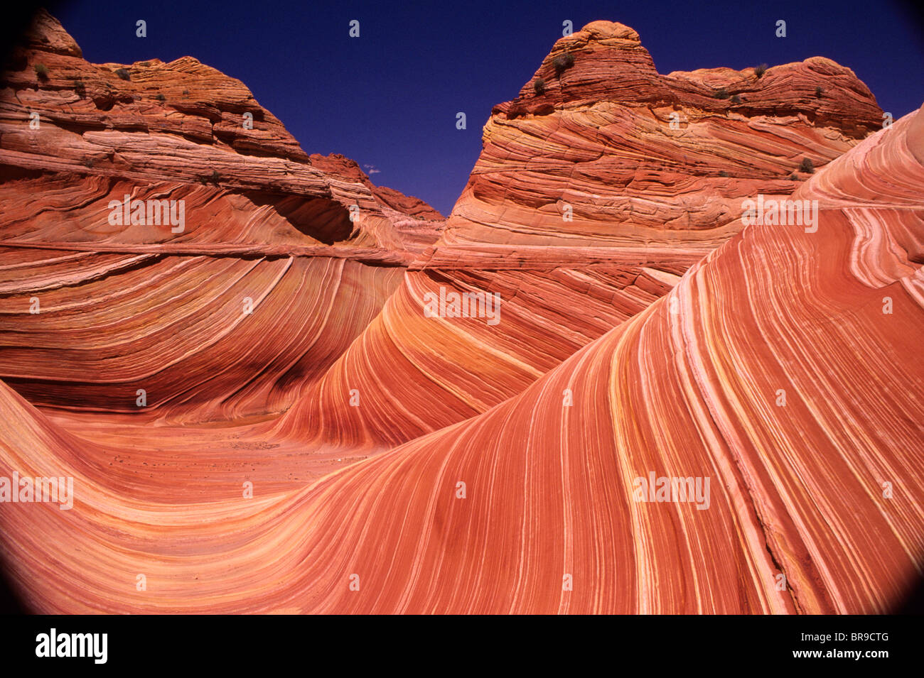 SWEEPING SANDSTONE FORMATION COLORADO PLATEAU, UTAH, USA Stock Photo ...