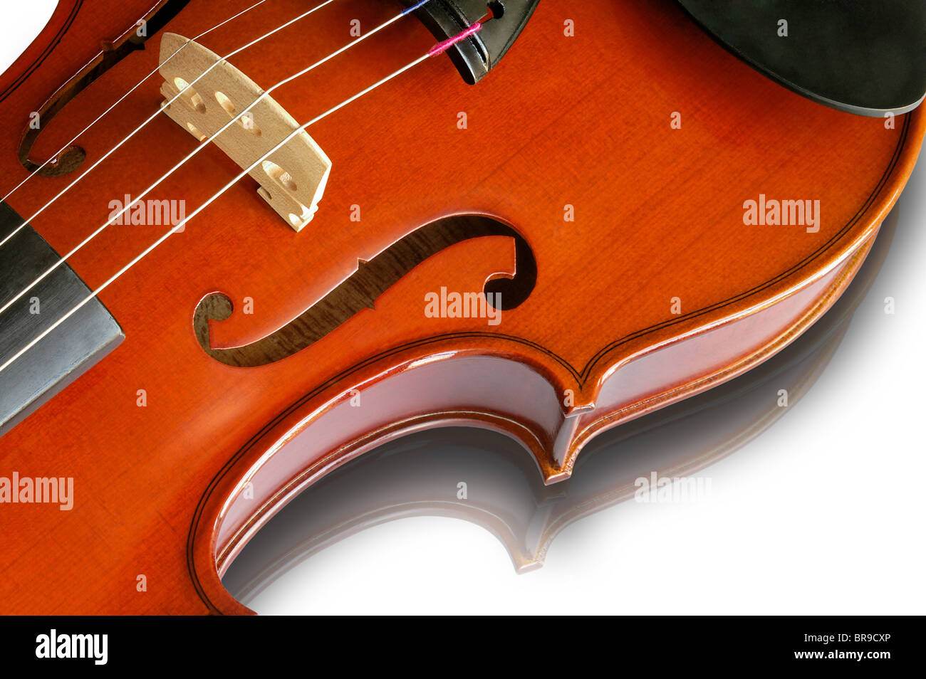 Musical instrument: violin closeup showing the bridge with clipping ...