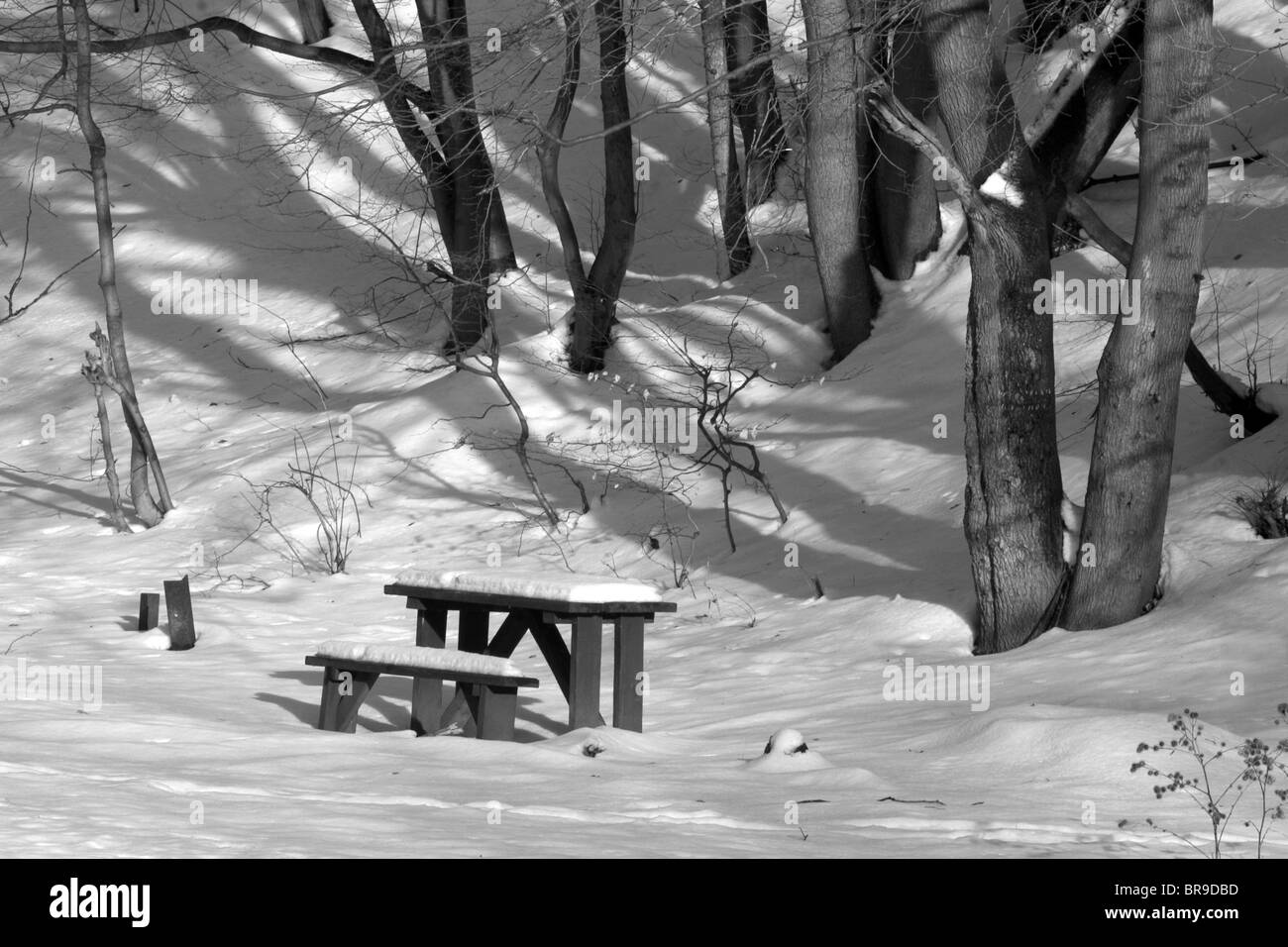 Table with snow Black and White Stock Photos & Images - Alamy