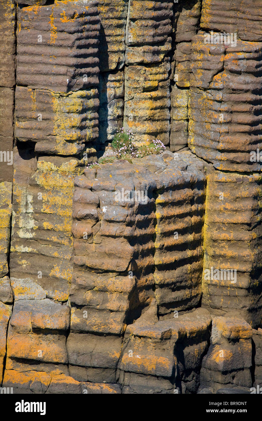 Basaltic Column near Stykkisholmur, Iceland Stock Photo - Alamy