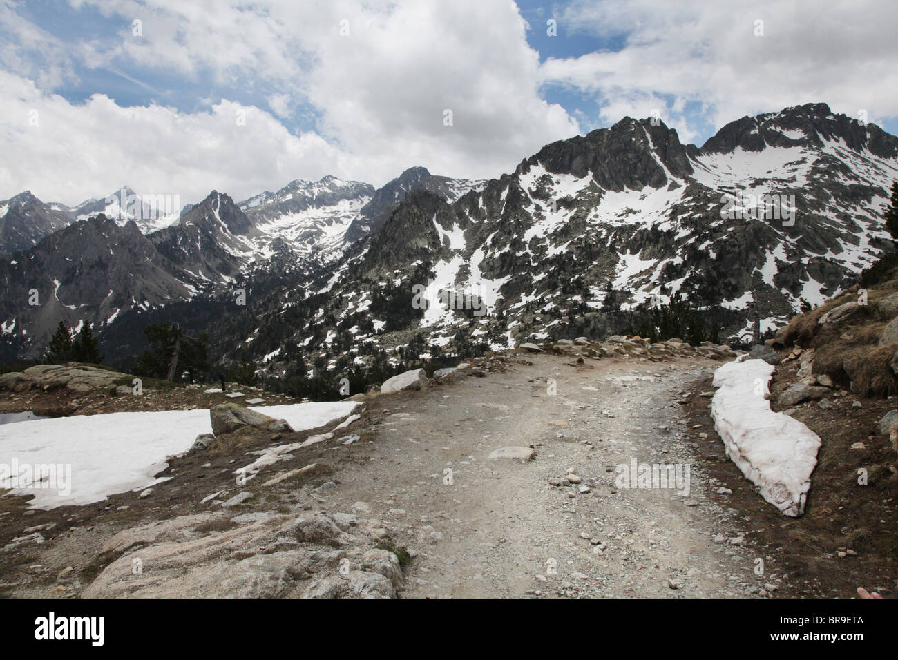 High Alpine forest and mountain cirque on Pyrenean Traverse track at D ...