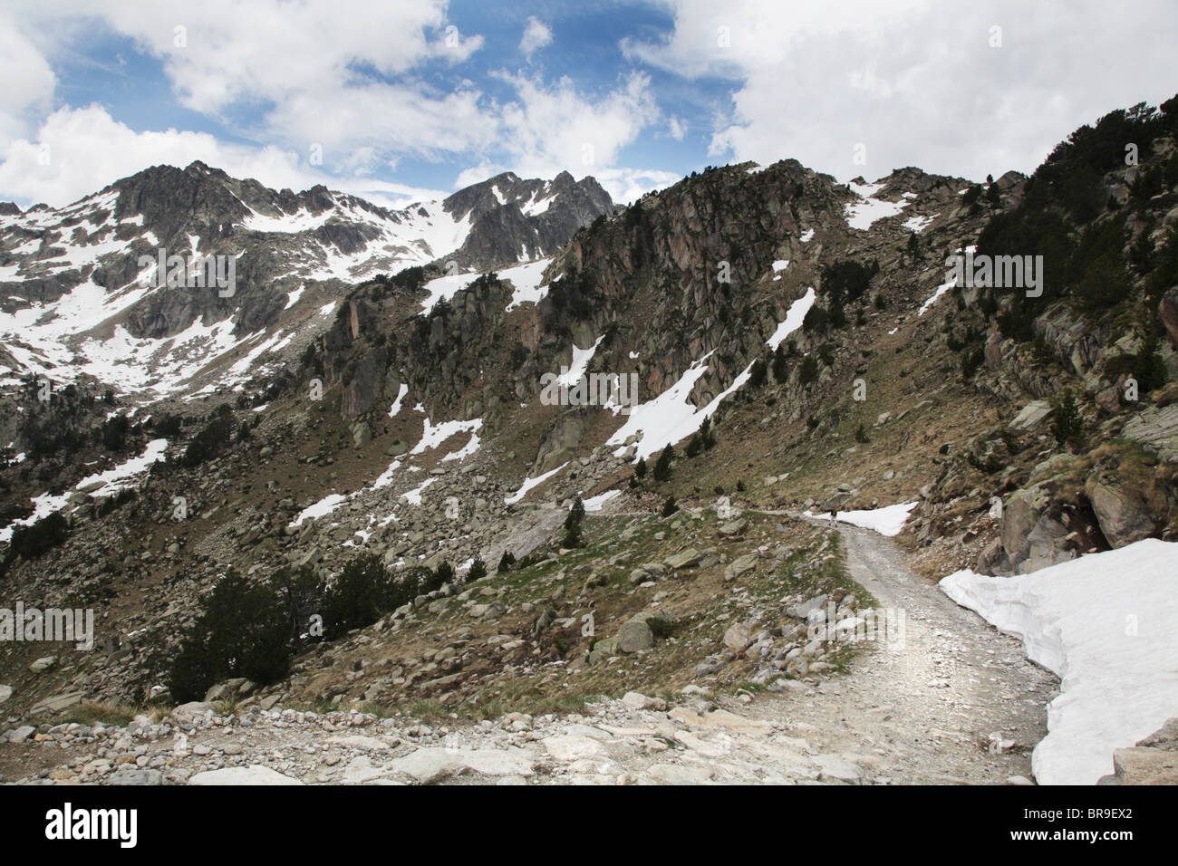 High Alpine forest and mountain cirque on Pyrenean Traverse track at D ...