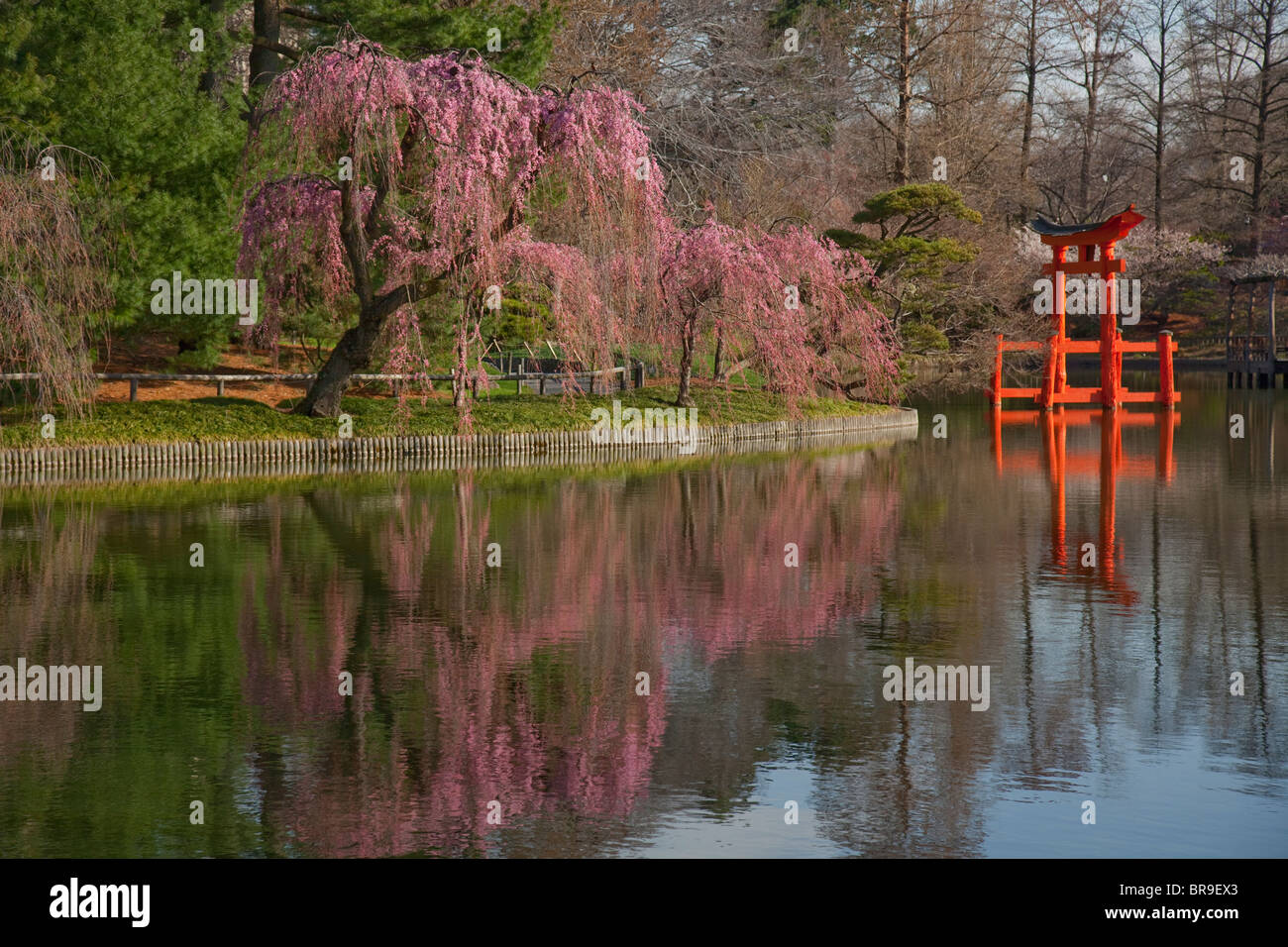 Japanese hill and pond garden hi-res stock photography and images - Alamy