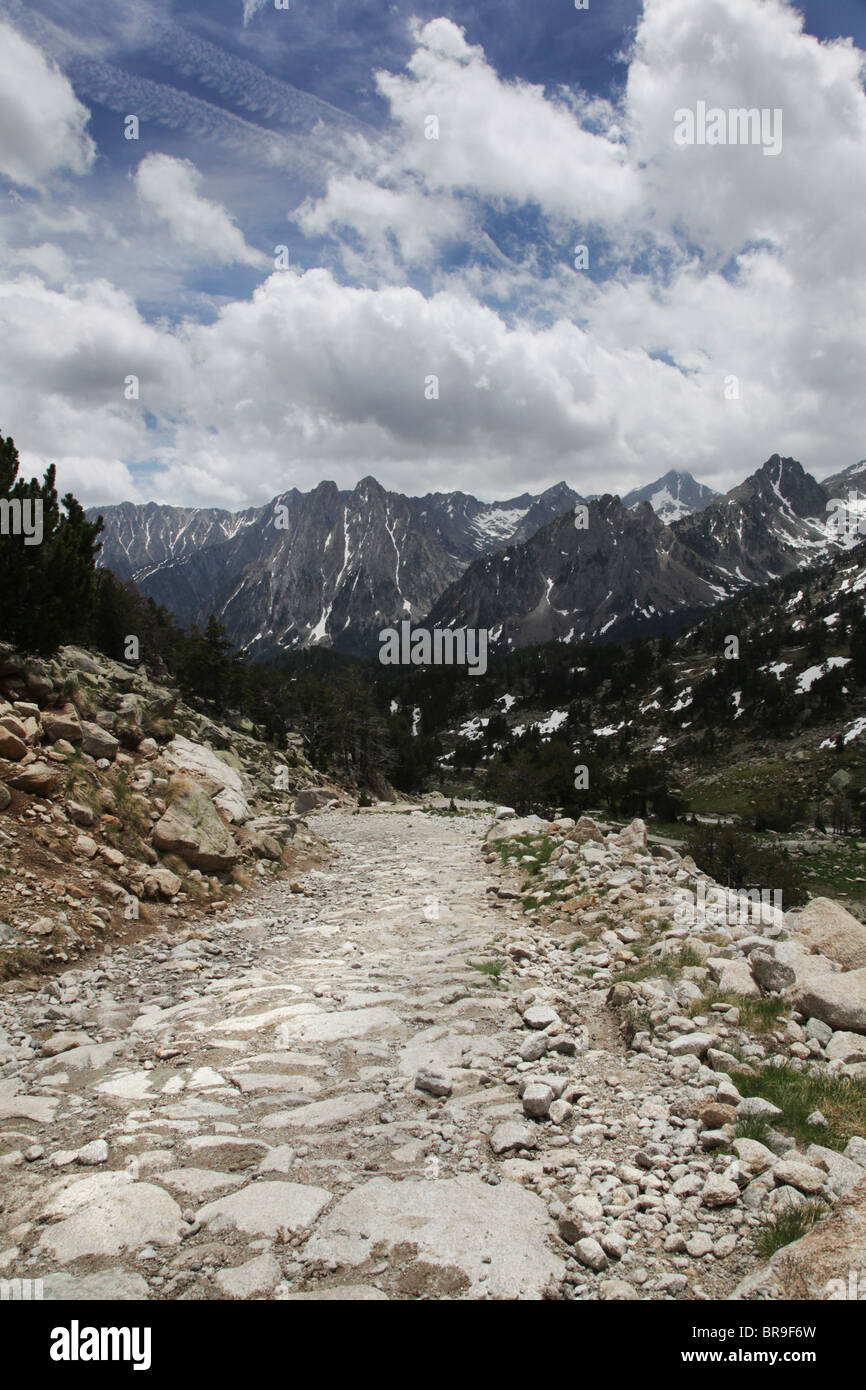 High Alpine forest and Els Encantats mountain peak on Pyrenean Traverse ...