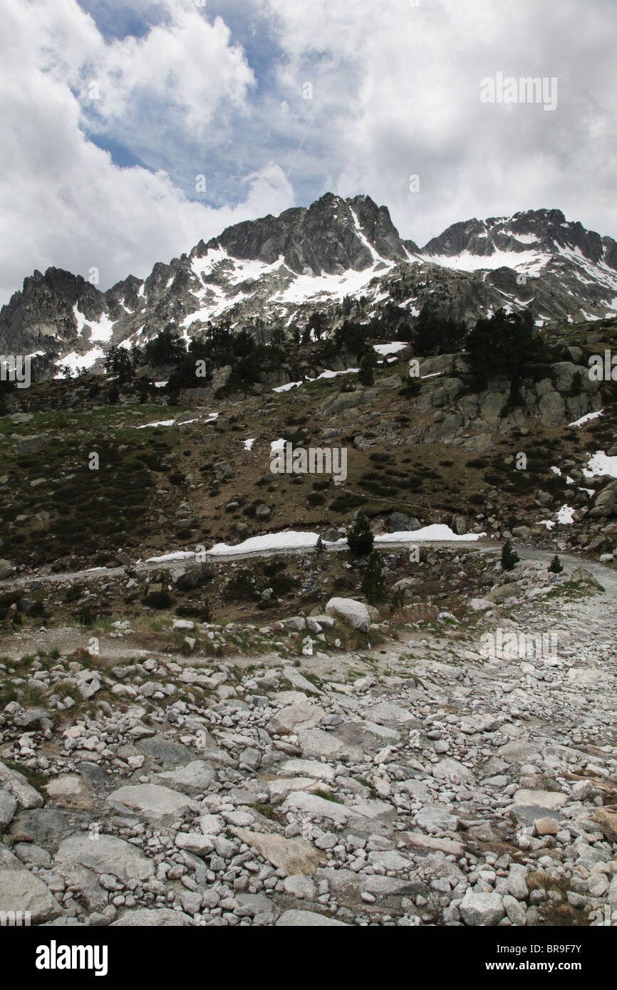 High Alpine forest and mountain cirque on Pyrenean Traverse track at D ...
