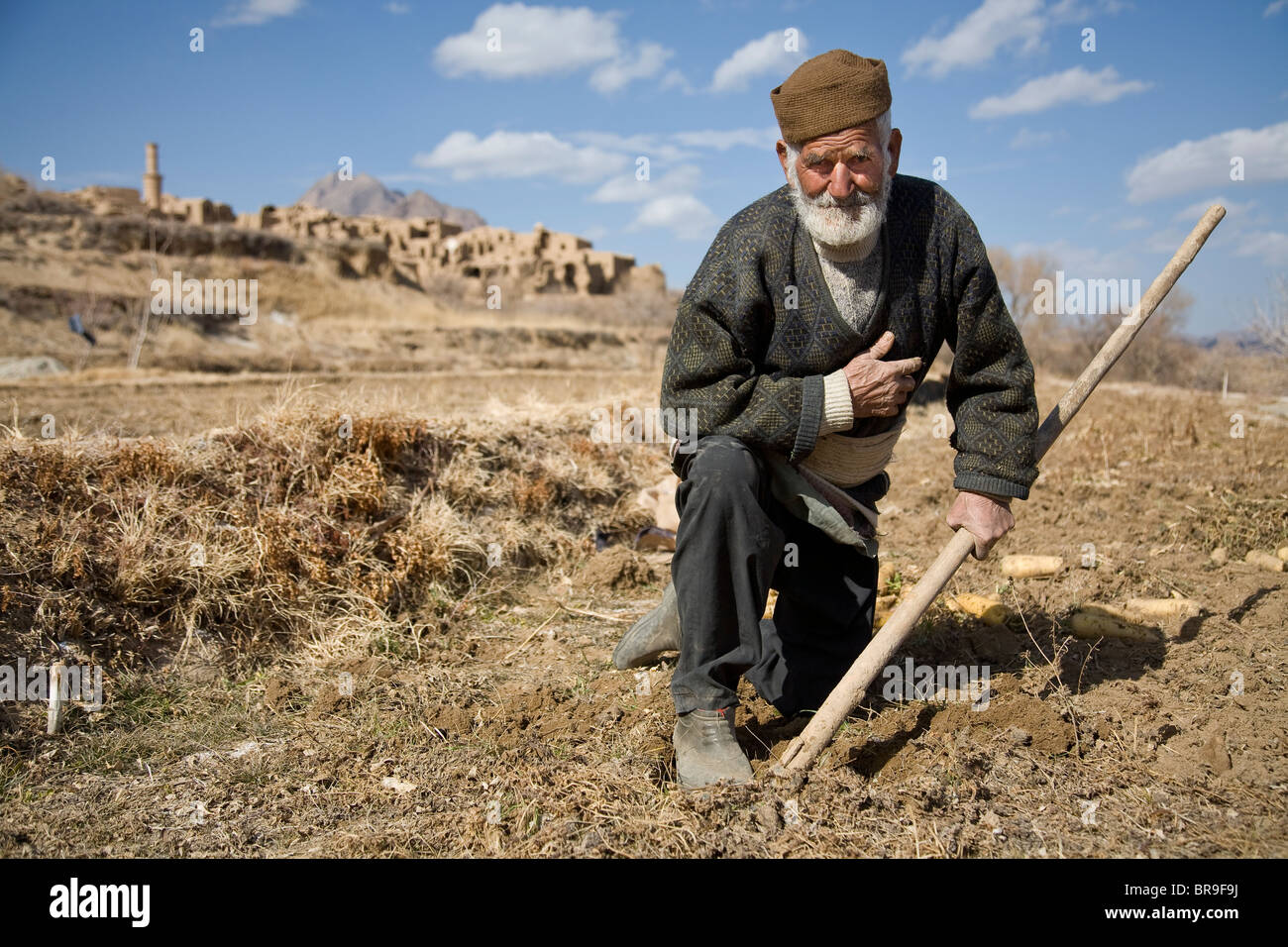 Iran people hi-res stock photography and images - Alamy