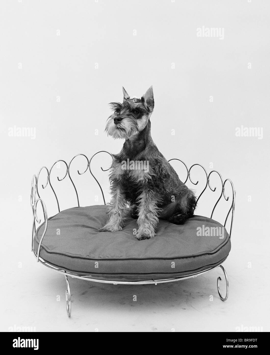 Prettily hi-res stock photography and images - Alamy