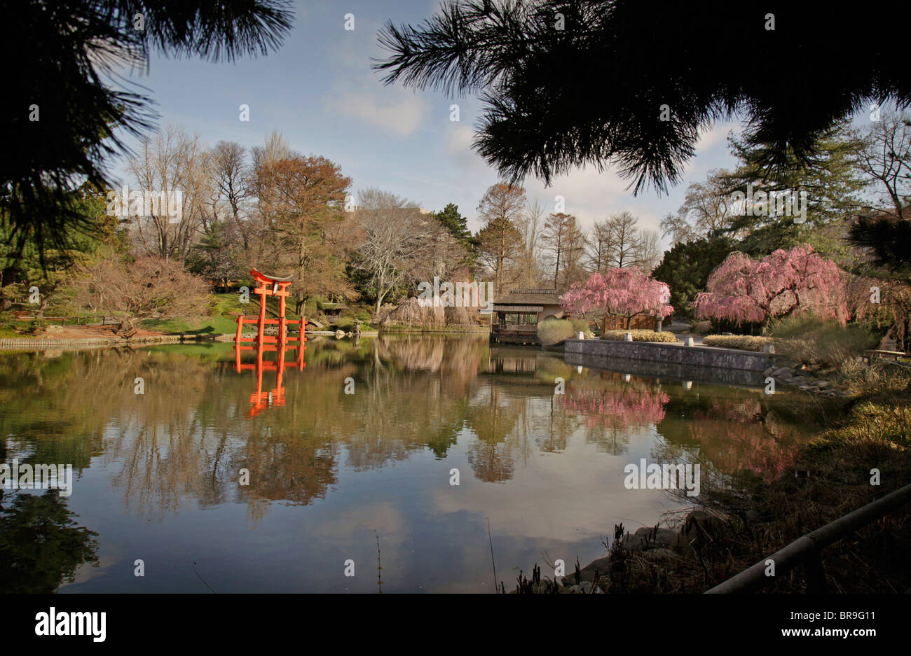Japanese Hill Pond Garden Brooklyn NY Botanic Stock Photo - Alamy