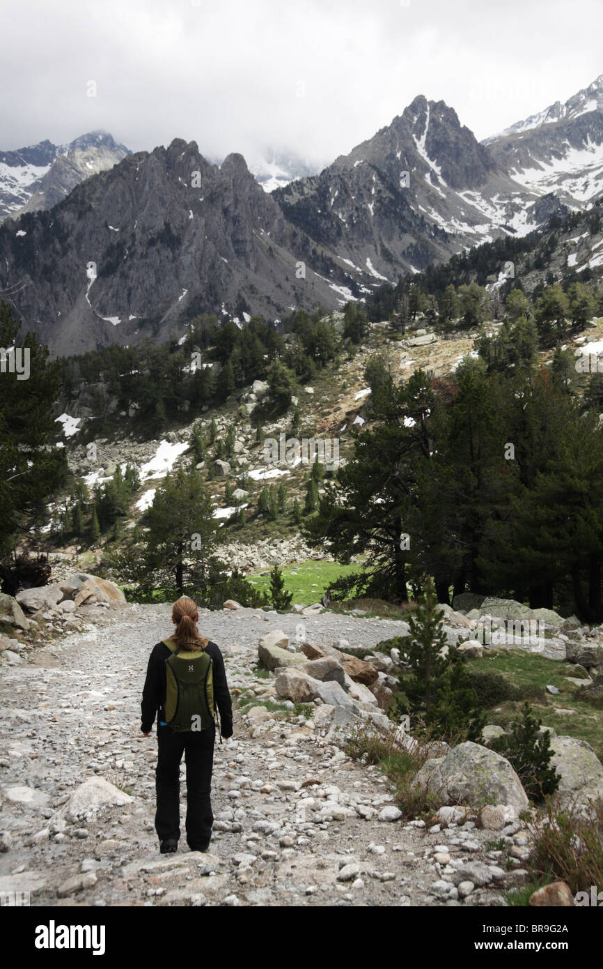 High Alpine forest and mountain cirque on Pyrenean Traverse track near ...