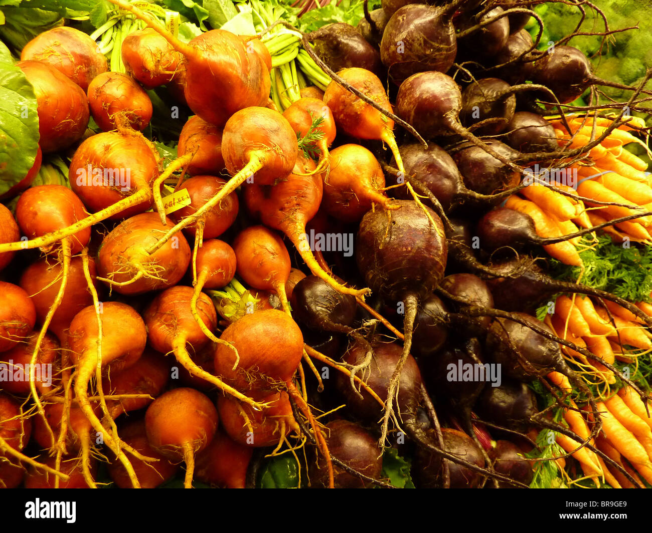 Reddish purple beets hi-res stock photography and images - Alamy