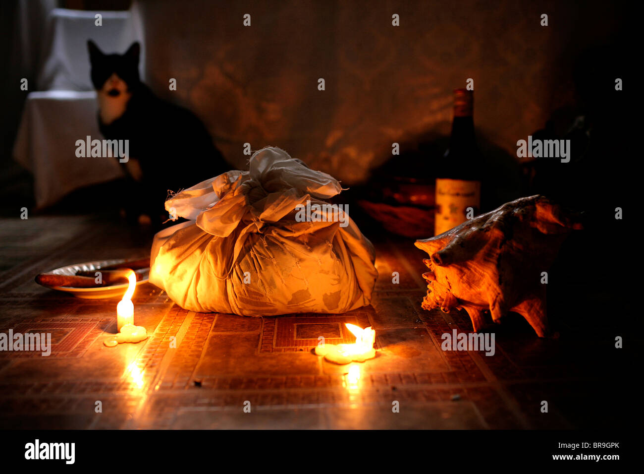 India Colon preforms a Santeria ceremony in New York City on Sunday ...