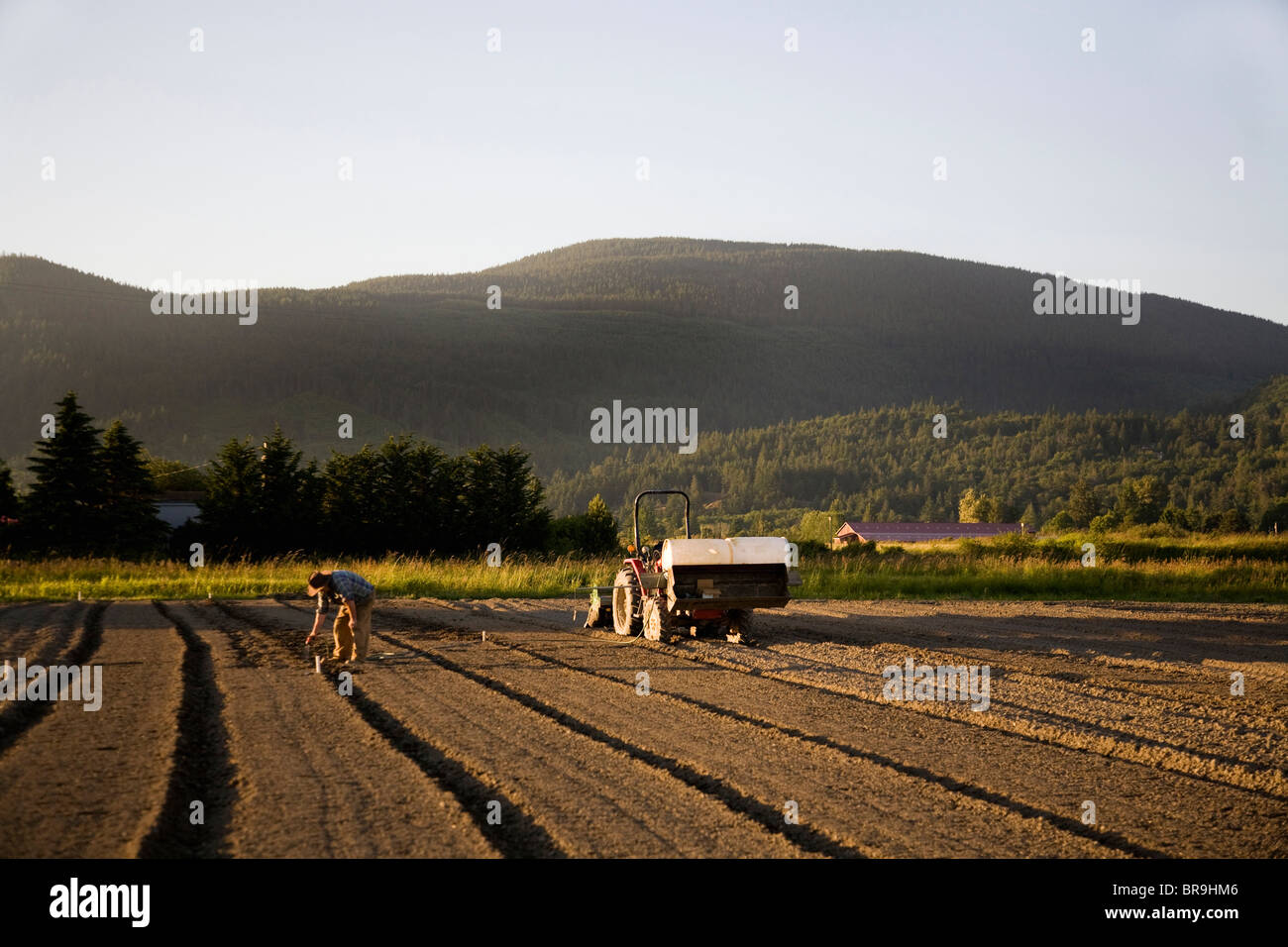 The farmer plants the seeds hi-res stock photography and images - Alamy