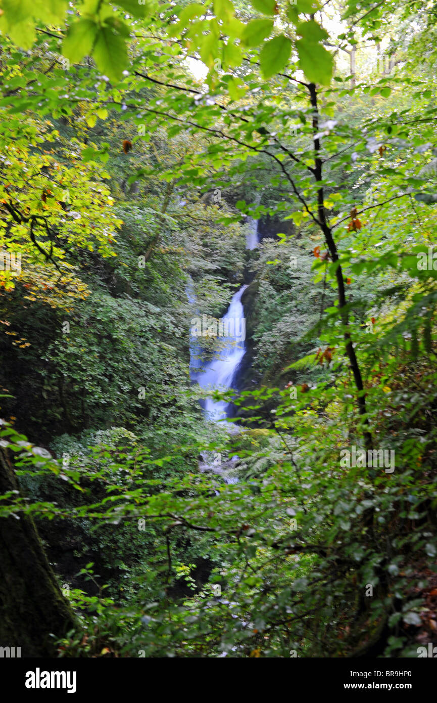 The Stock Ghyll waterfalls near Ambleside in The Lake District Cumbria ...