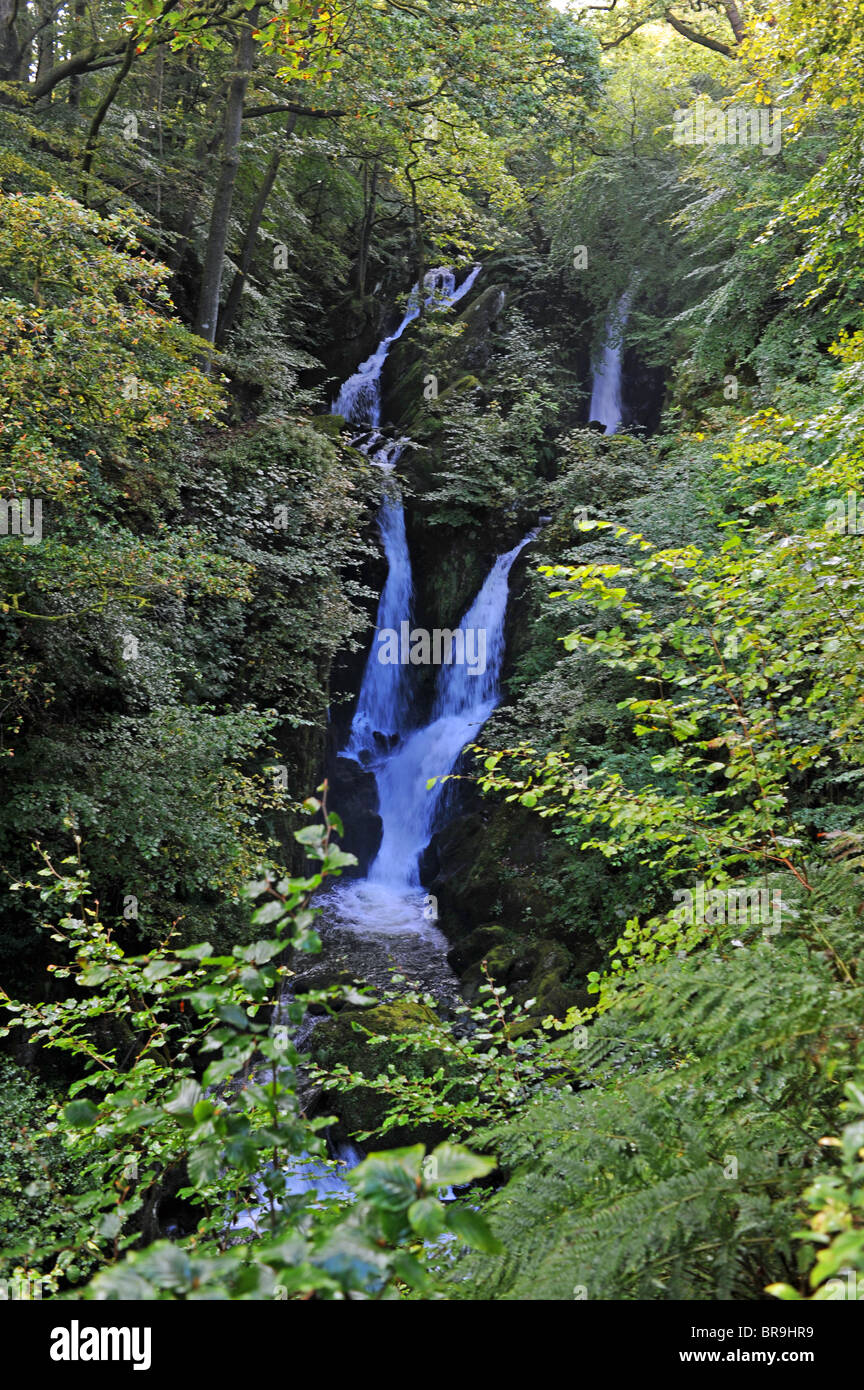 The Stock Ghyll waterfalls near Ambleside in The Lake District Cumbria ...