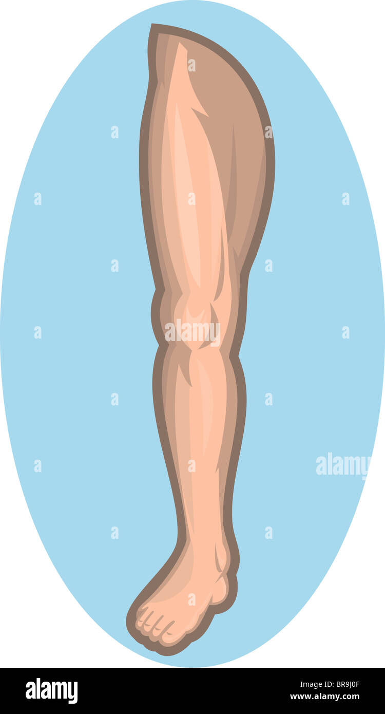 Human leg facing front isolated on blue background retro style ...