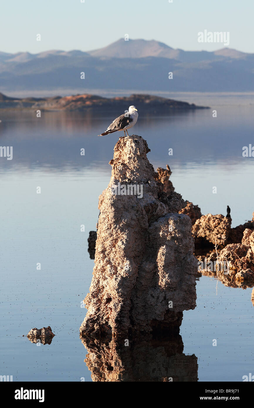 Tufa formations on mono hi-res stock photography and images - Alamy