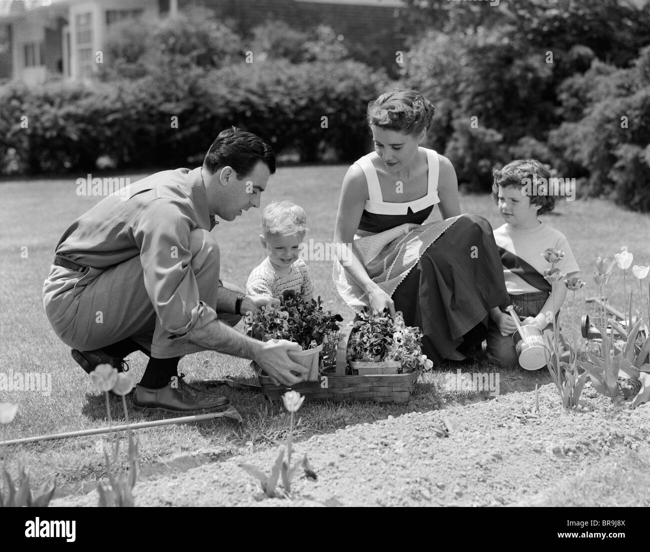 Family life 1950s hi-res stock photography and images - Alamy