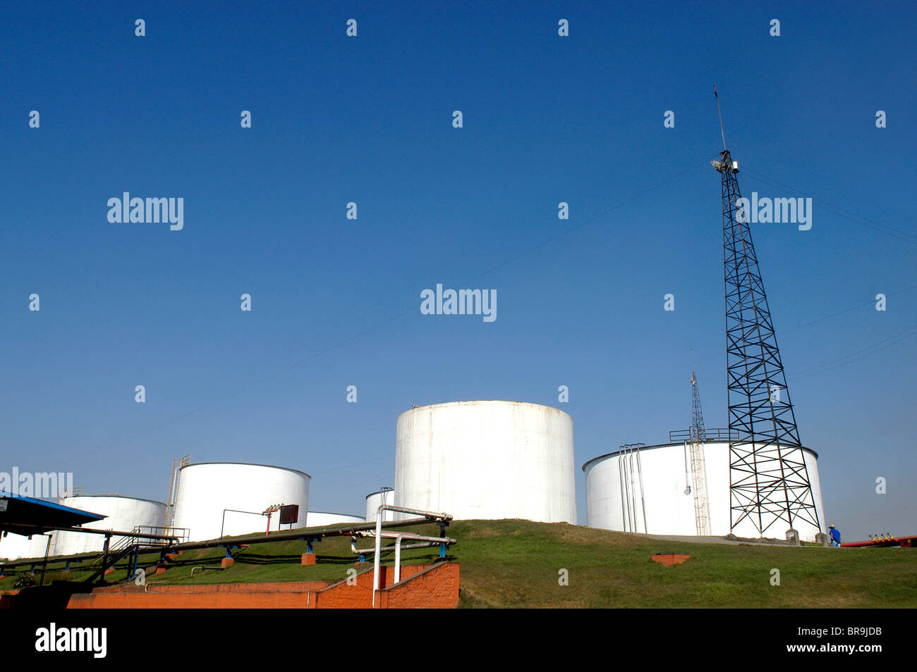 Sugar cane ethanol production hi-res stock photography and images - Alamy