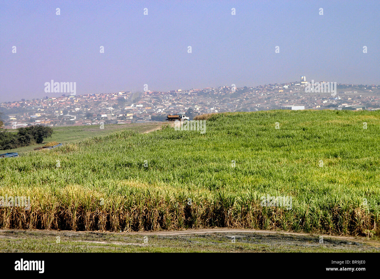 The production of cane ethanol Piracicaba San Paulo Brazil Stock Photo ...