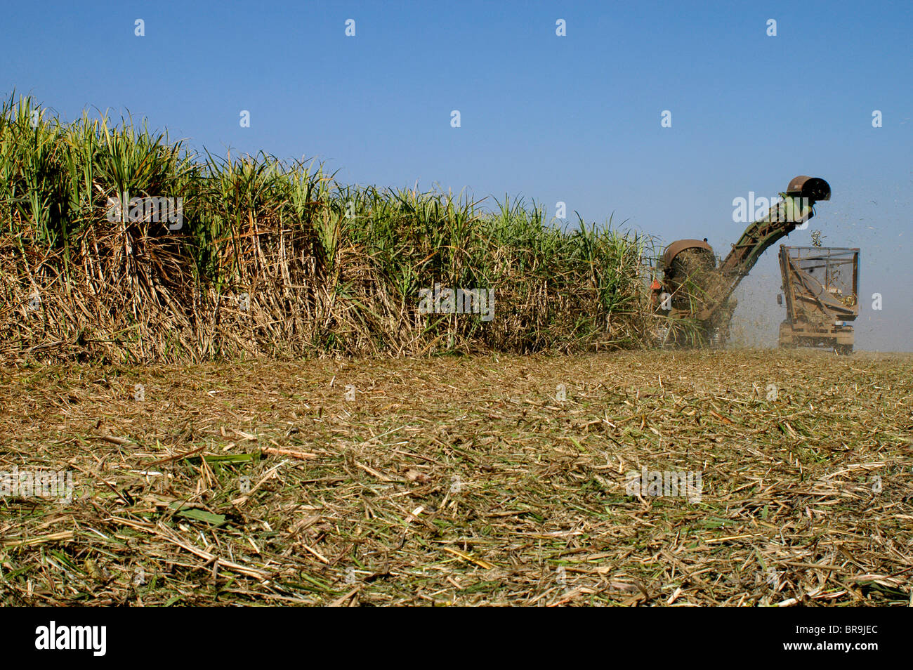 The production of cane ethanol Piracicaba San Paulo Brazil Stock Photo ...
