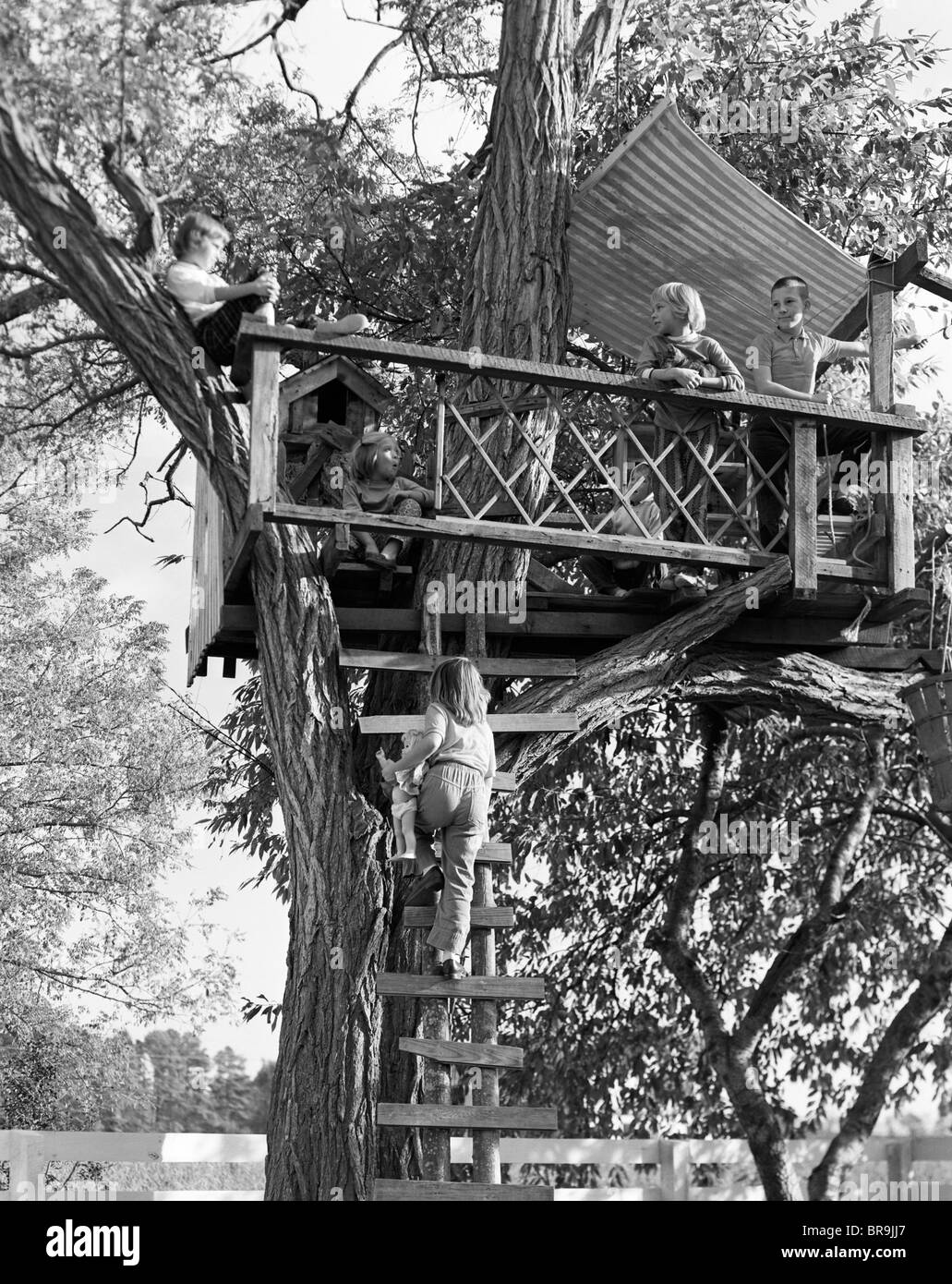 Cat in old house Black and White Stock Photos & Images - Alamy