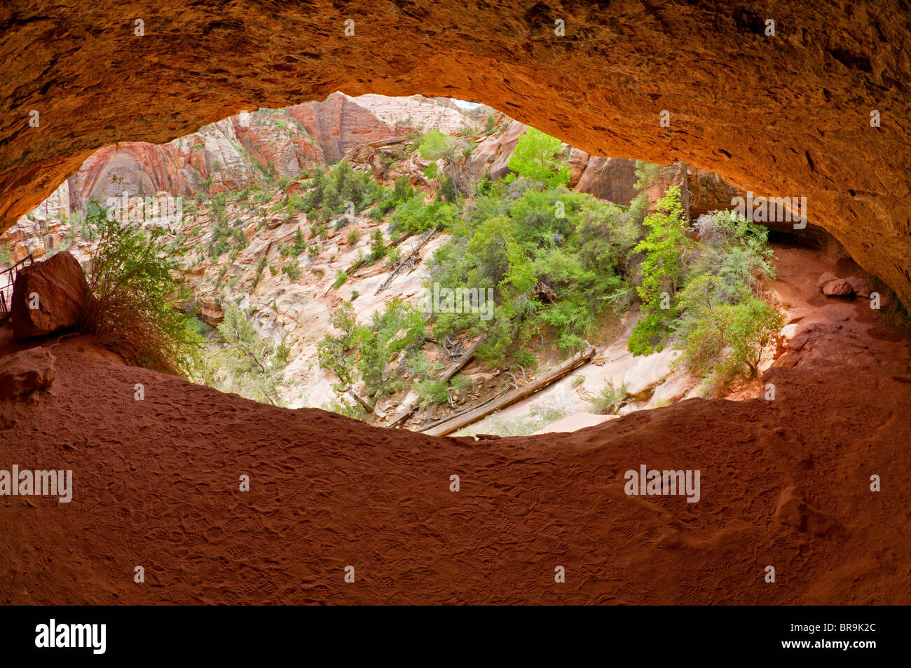 Red cave zion national park hi-res stock photography and images - Alamy