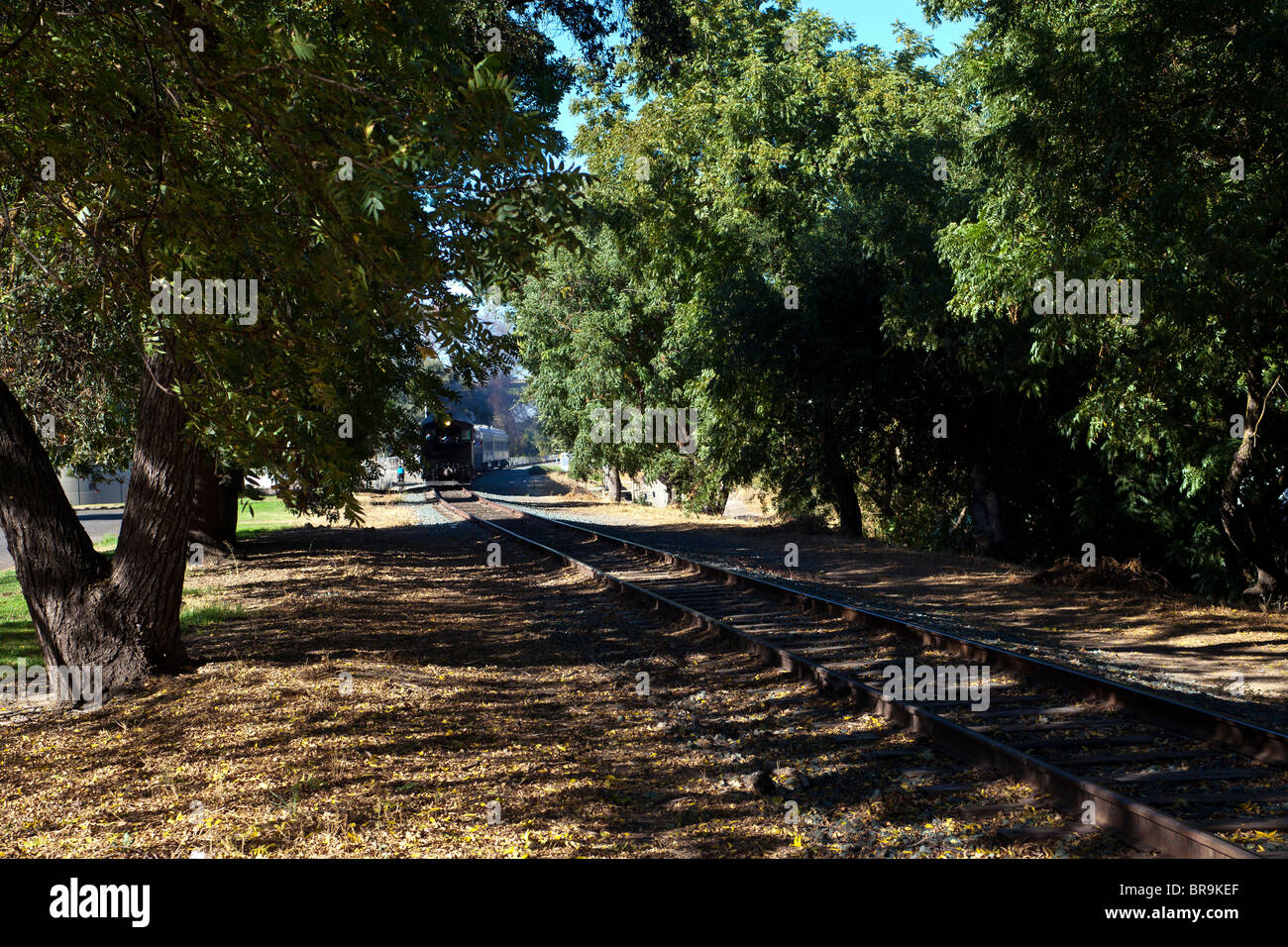 Steam train from the California State Railroad Museum Stock Photo - Alamy
