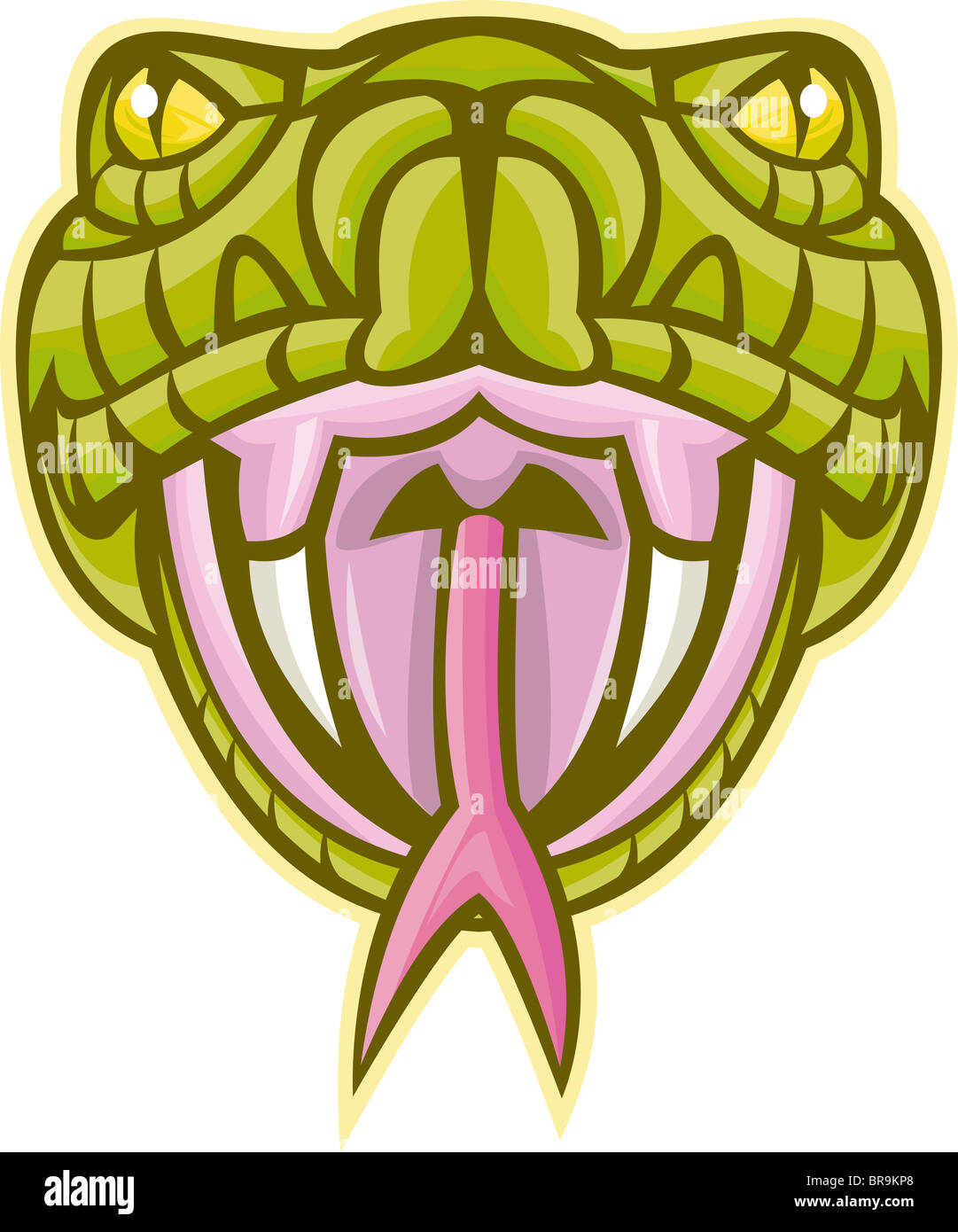 Viper snake illustration baring its fangs facing front isolated on ...