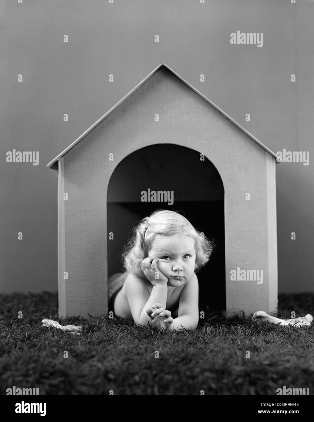 Dog stress Black and White Stock Photos & Images - Alamy