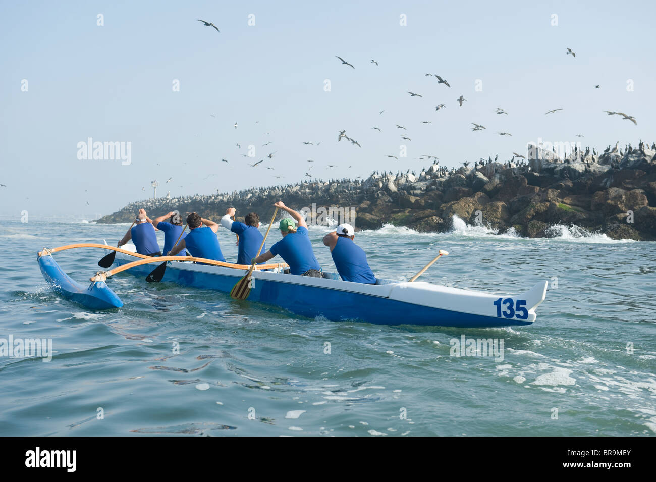 Outrigger canoeing team in training Stock Photo - Alamy