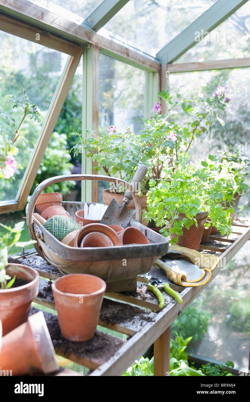 Gardening equipment on workbench in potting shed Stock Photo - Alamy
