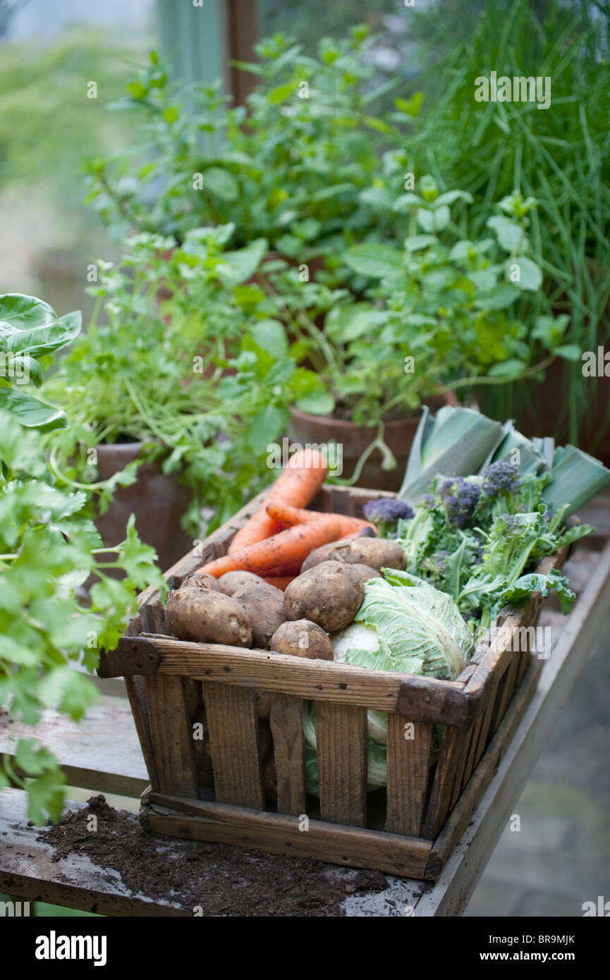 Wooden crate of fresh vegetables Stock Photo - Alamy
