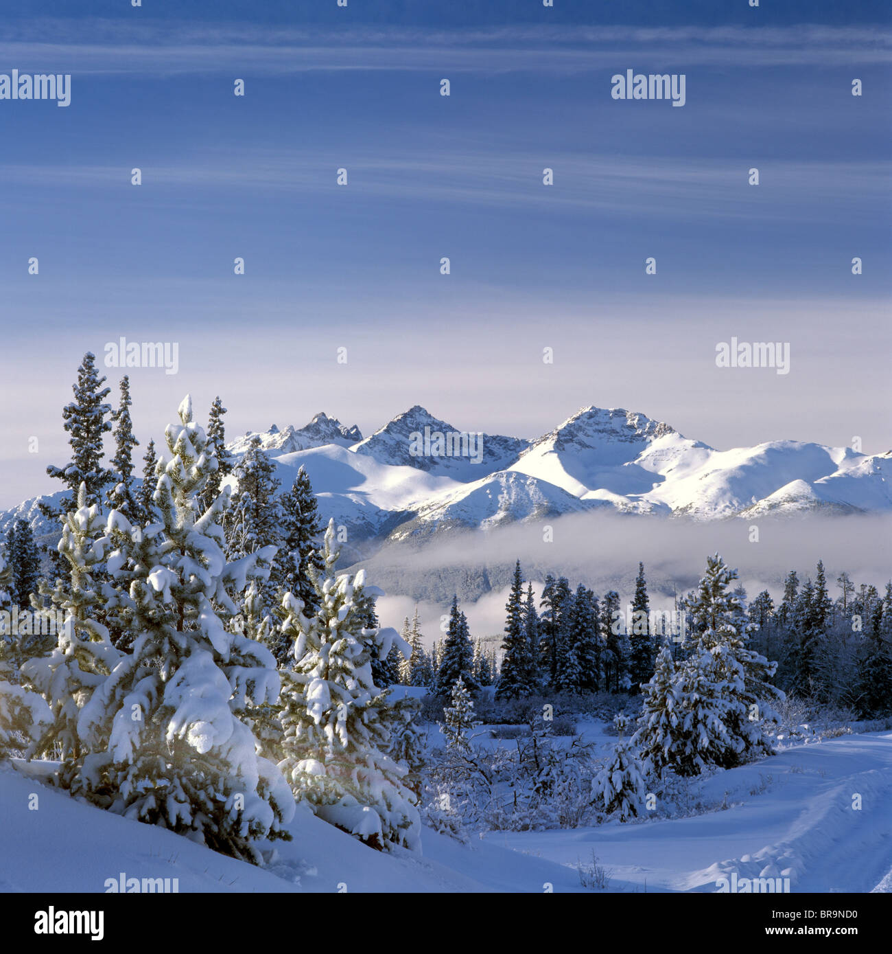 Cariboo landscape hi-res stock photography and images - Alamy