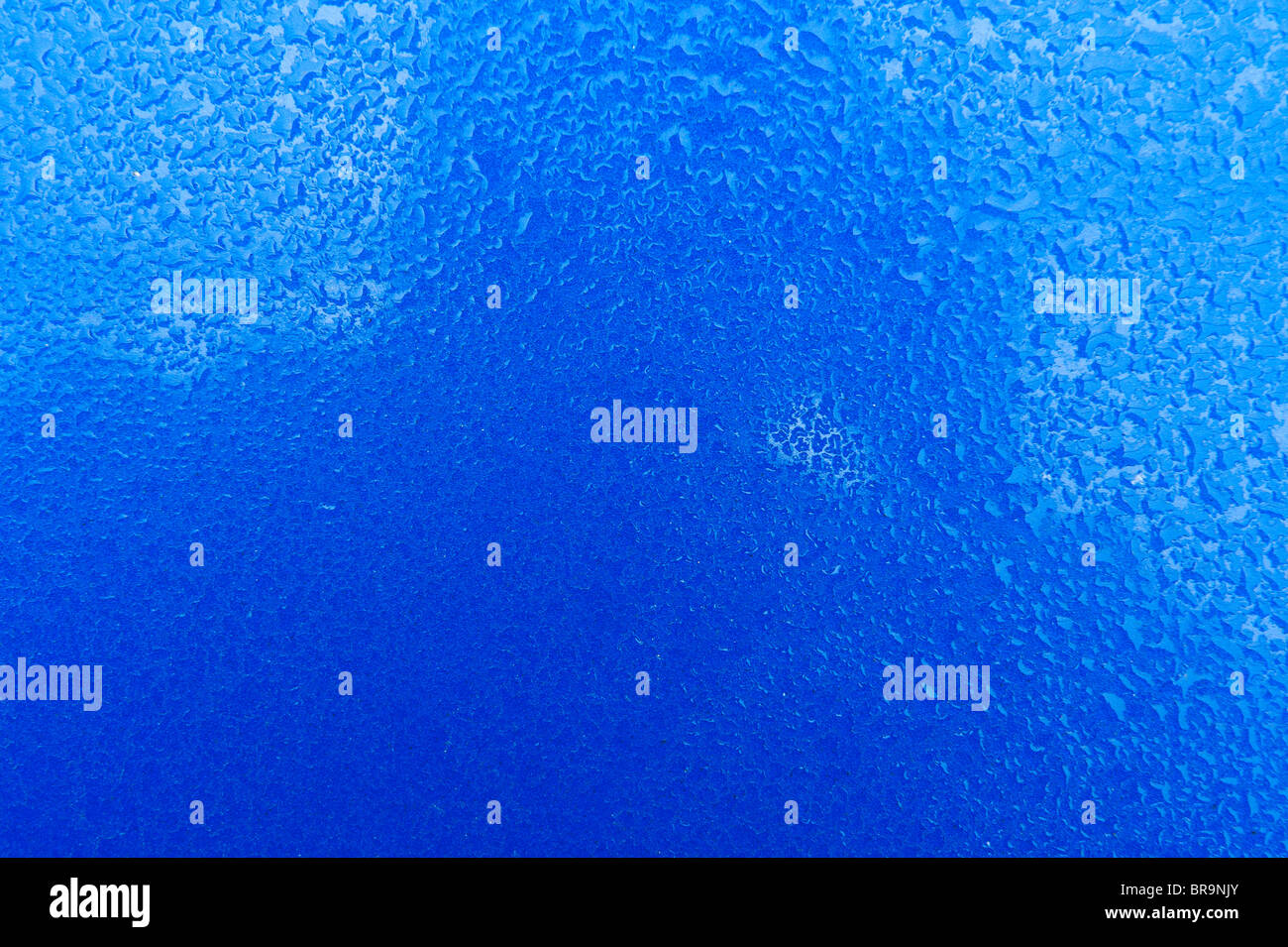 Still Life, Dew drops on blue automobile hood Stock Photo - Alamy