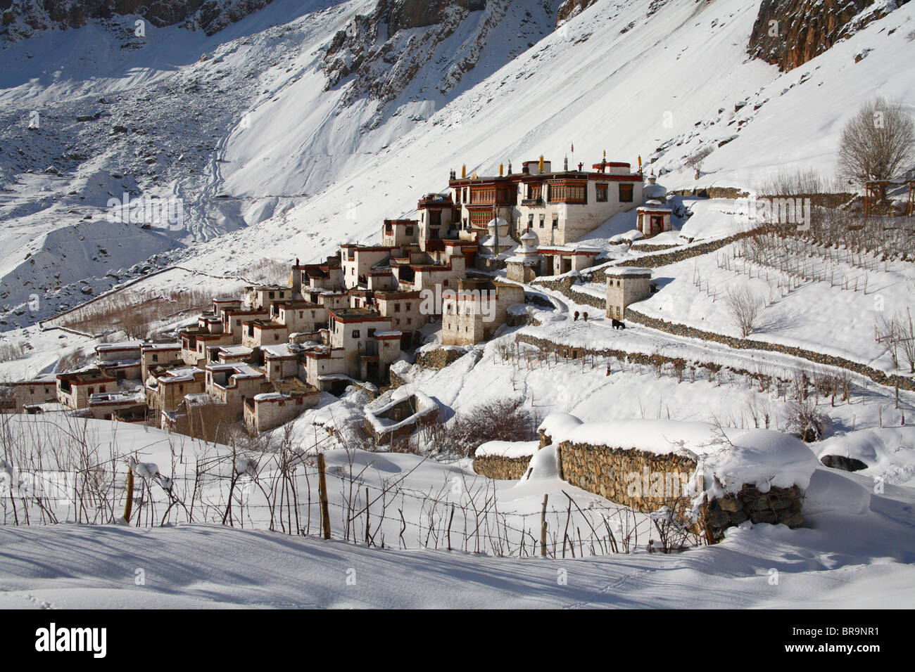 Lingshed monastery hi-res stock photography and images - Alamy